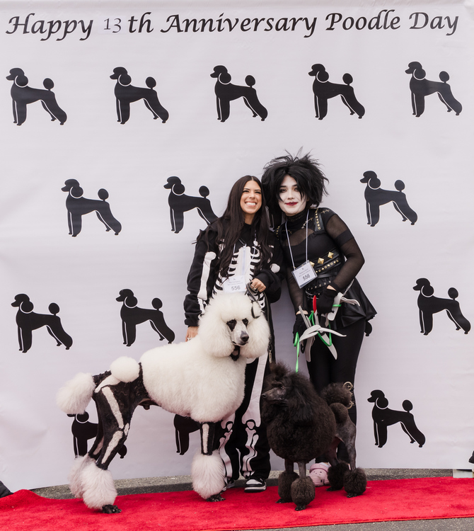 Winners of the Poodle Day Parade in Carmel