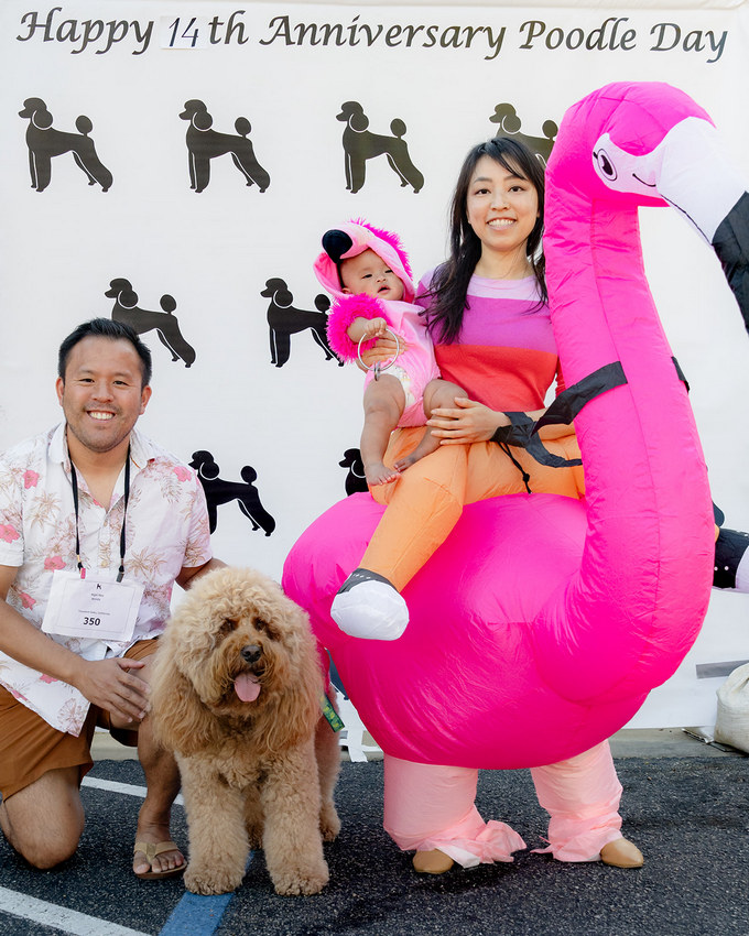 Winners of the Poodle Day Parade in Carmel