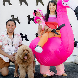 Winners of the Poodle Day Parade in Carmel