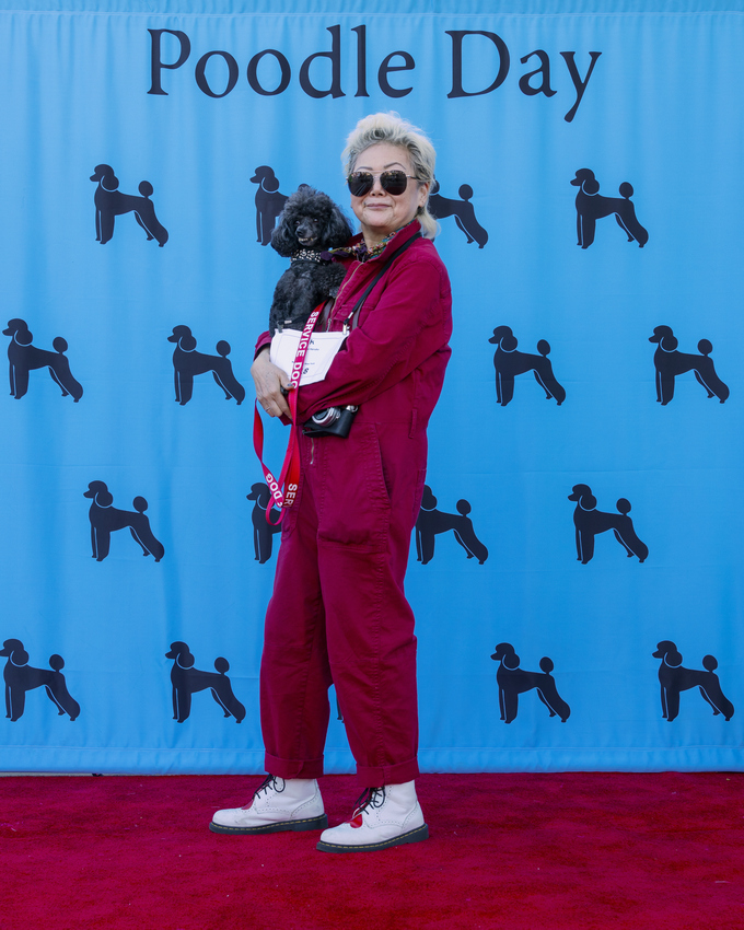 Winners of the Poodle Day Parade in Carmel