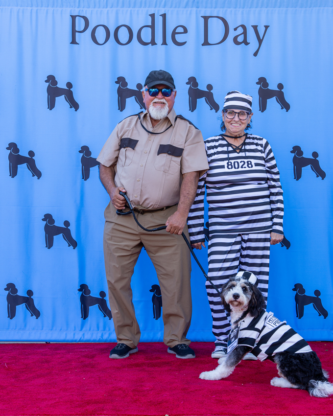 Winners of the Poodle Day Parade in Carmel
