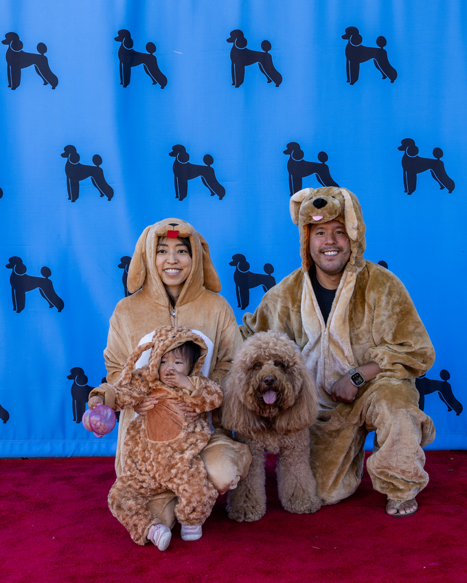 Winners of the Poodle Day Parade in Carmel
