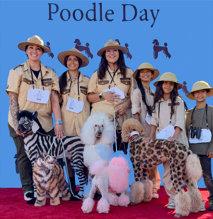Winners of the Poodle Day Parade in Carmel