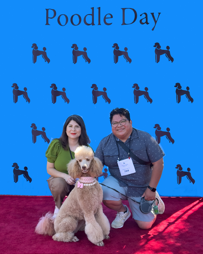 Winners of the Poodle Day Parade in Carmel