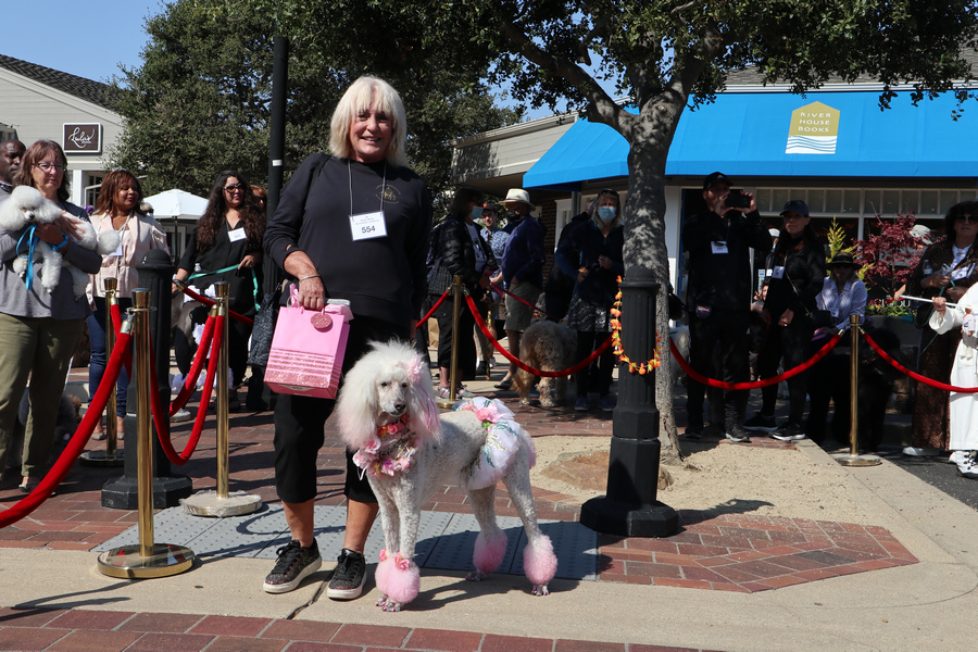 Winners of the Poodle Day Parade in Carmel