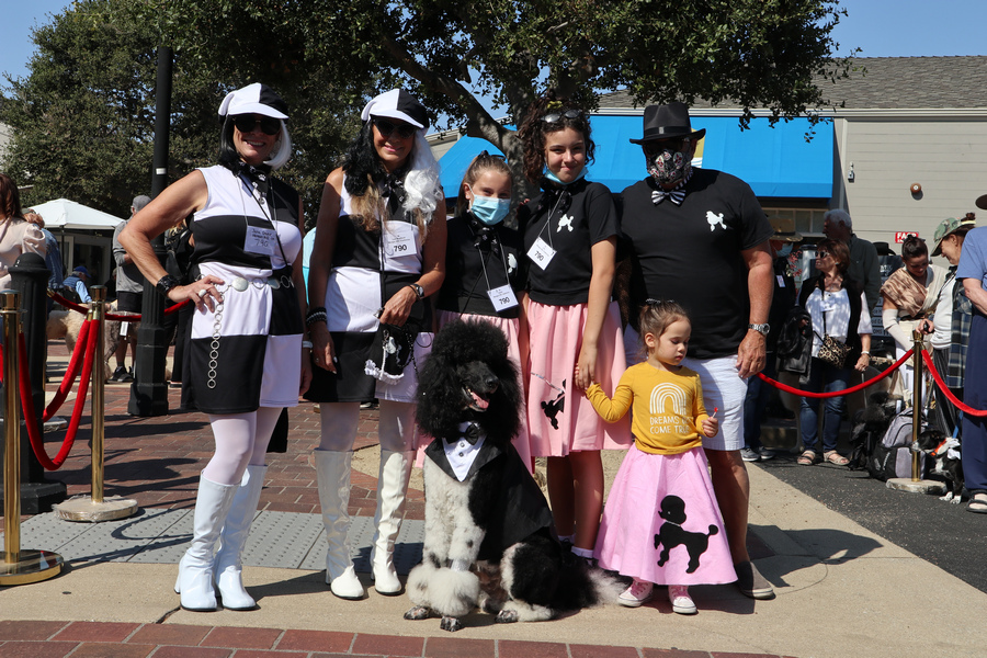 Winners of the Poodle Day Parade in Carmel